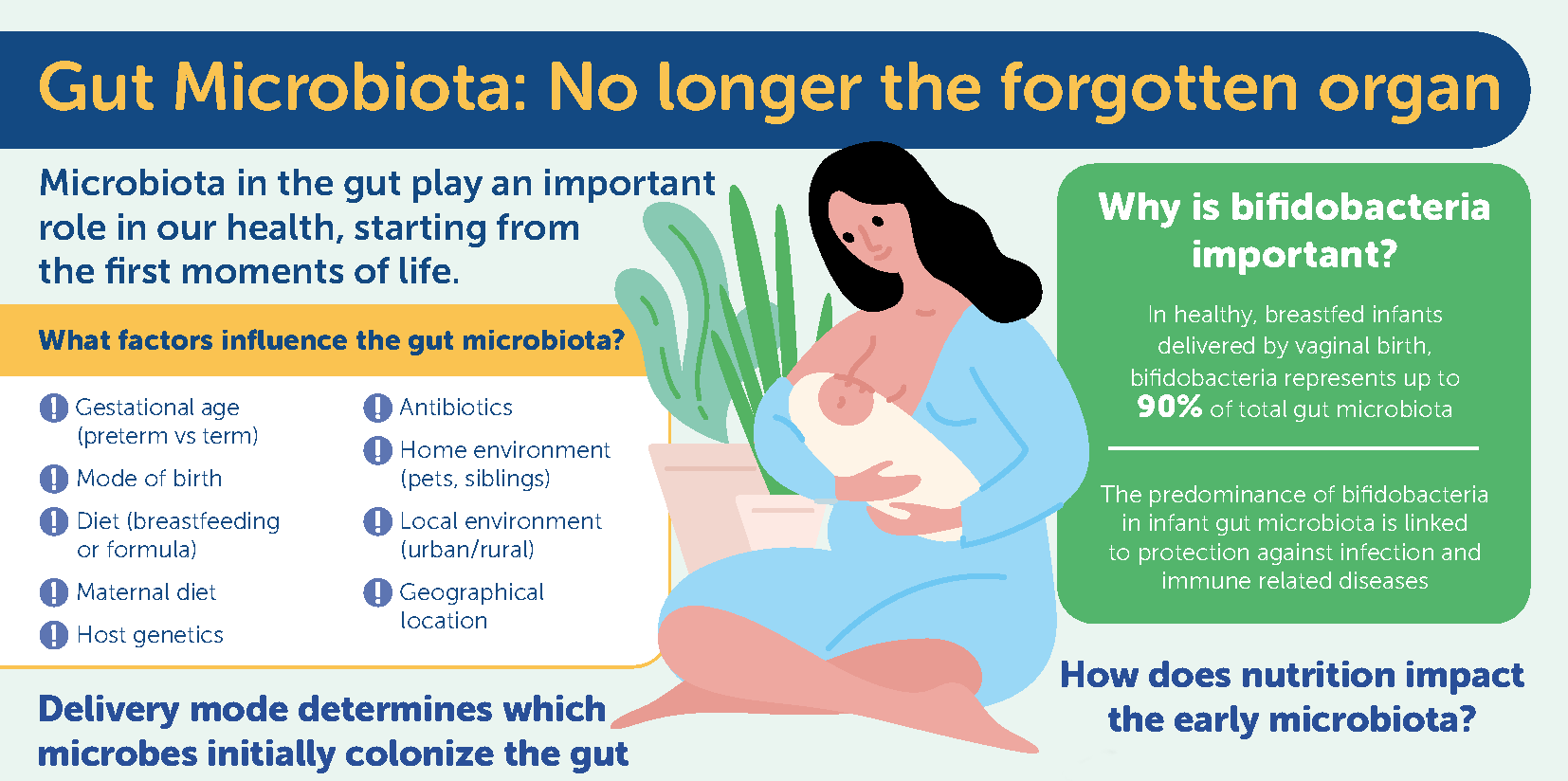 Gut Microbia Infographic: A Guide to Digestive Health