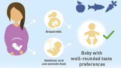 Get a flavor perception infographic for infants here